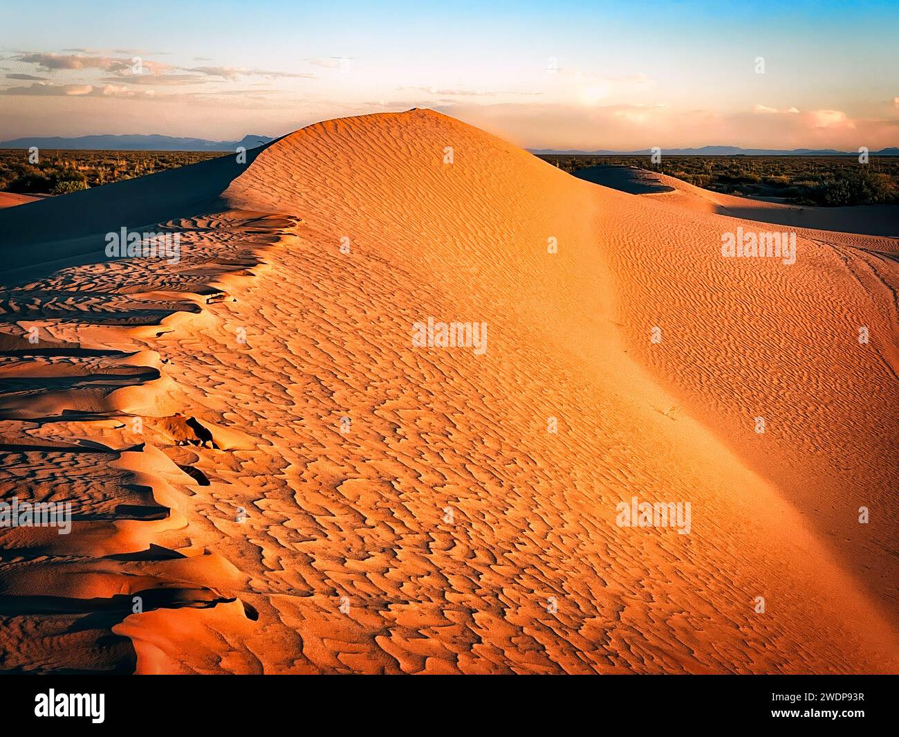 The sun sets on sand dunes in the desert near Horizon City, east of El ...