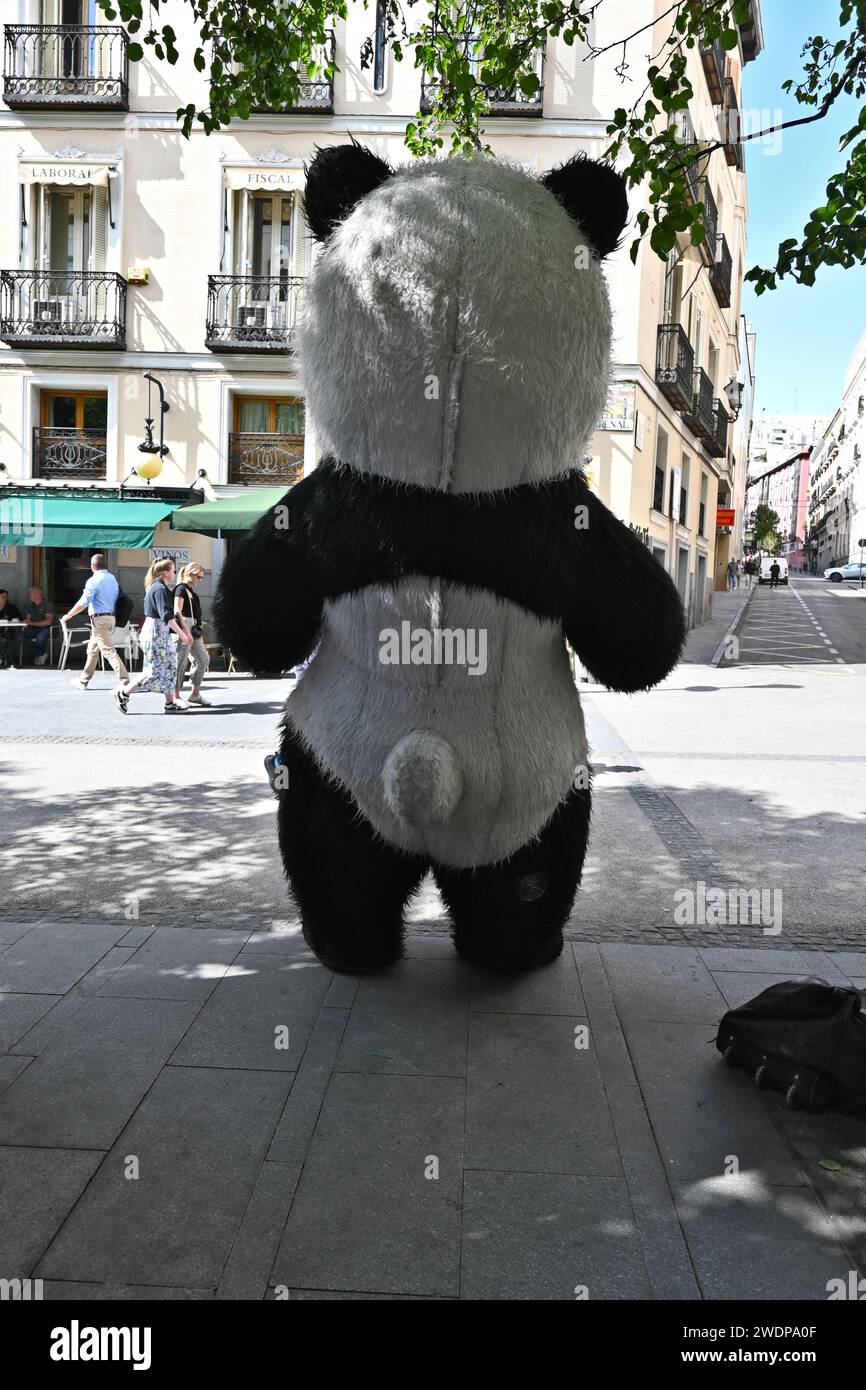 The back of a panda street performer in central madrid – Madrid, Spain ...