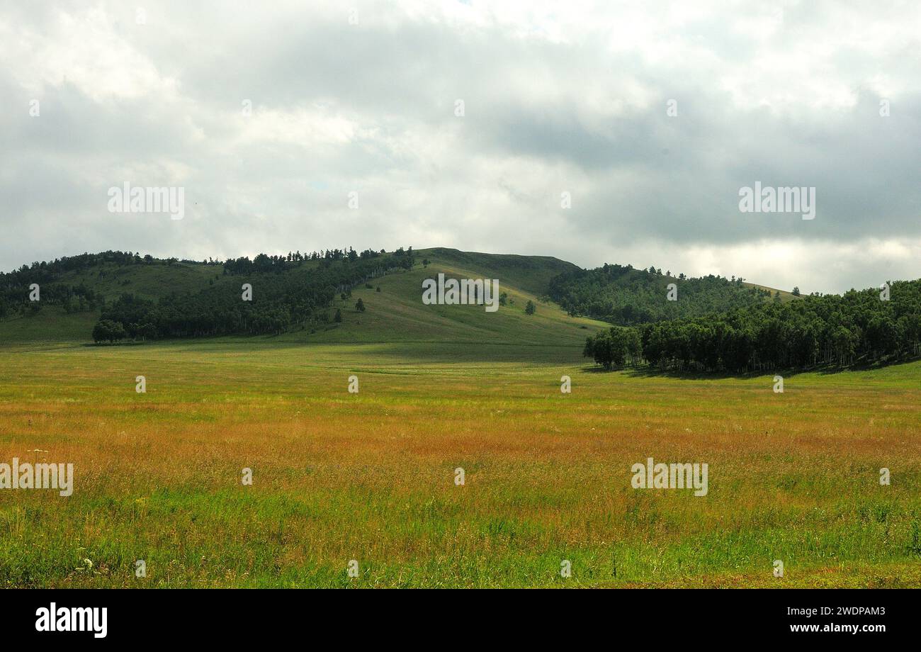 A wide clearing on the edge of a dense forest and the foot of a high ...