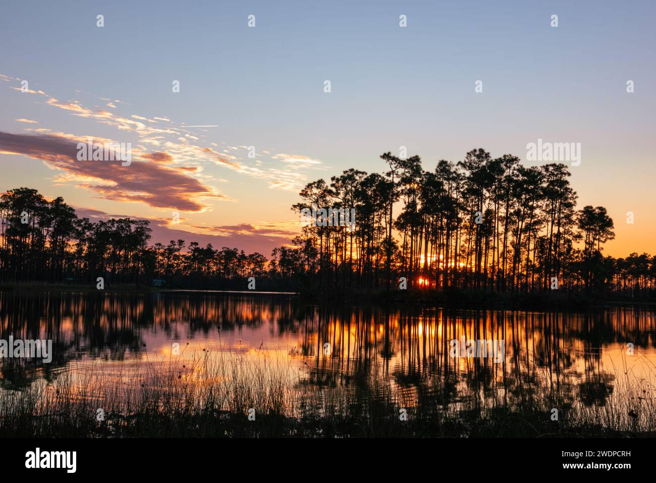 Long Pine Key Lake Everglades Sunset in Florida Stock Photo - Alamy