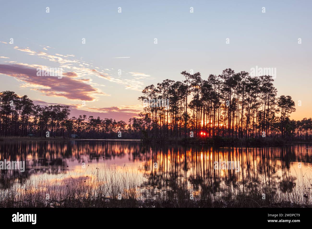 Long pine key lake hi-res stock photography and images - Alamy