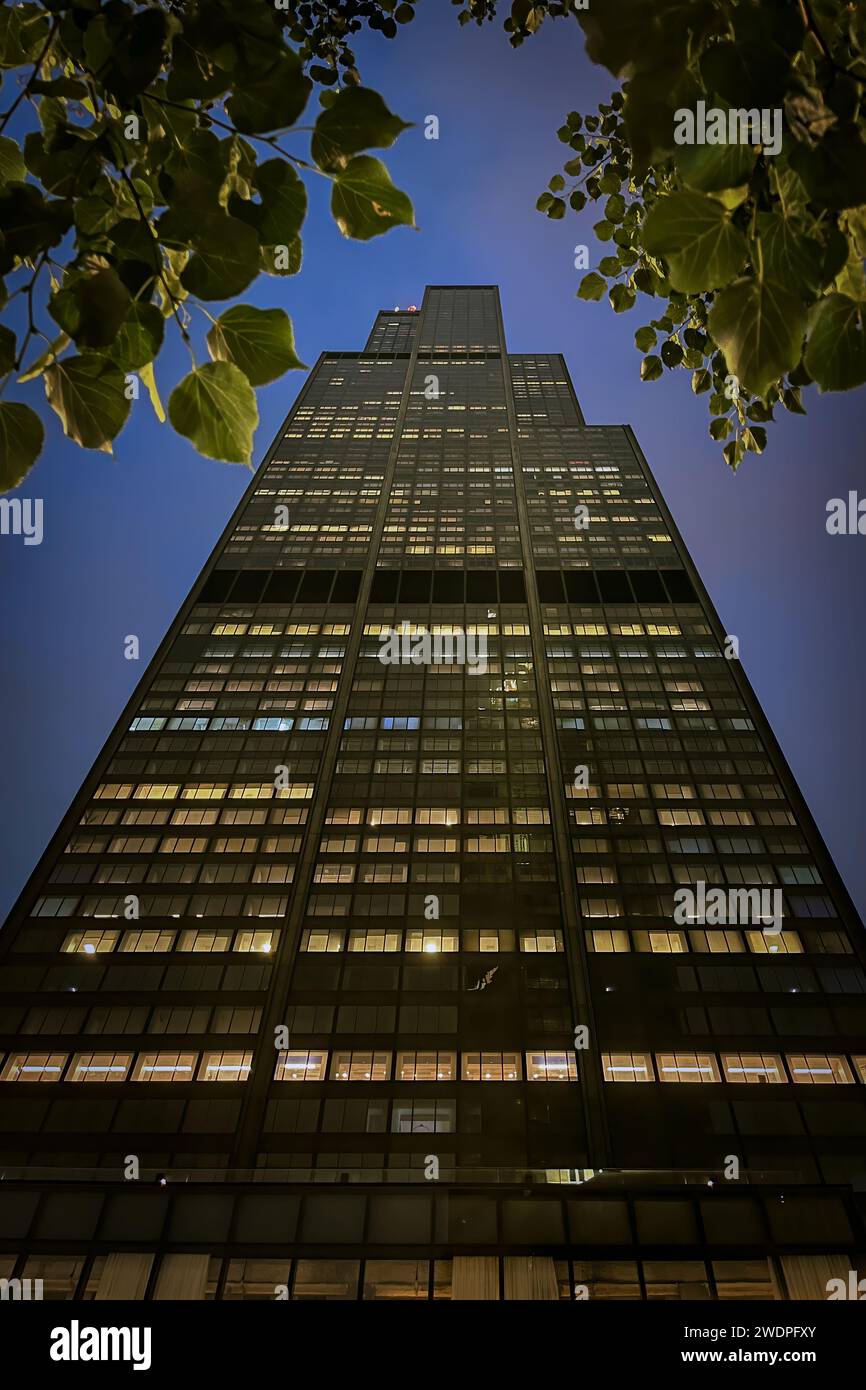 Looking through the trees at the Willis Tower in downtown Chicago ...