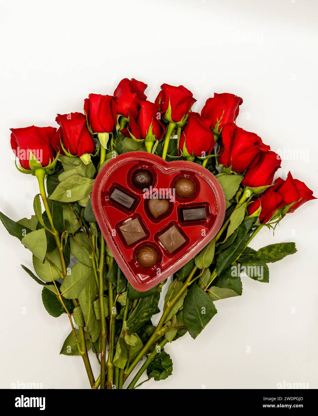 Beautiful red roses on a white background Stock Photo - Alamy