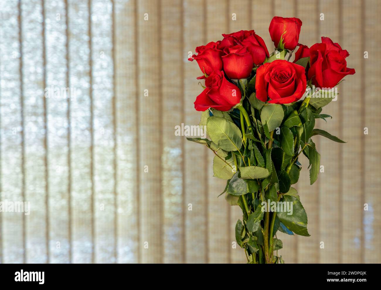 Dozen red roses bouquet hi-res stock photography and images - Alamy