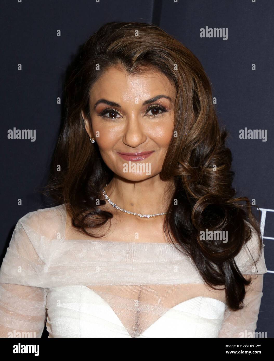 New York City, USA. 21st Jan, 2024. Anjali Bhimani attending the ...