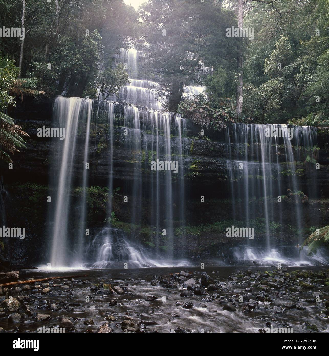 RUSSELL FALLS, TASMANIA, AUSTRALIA Stock Photo - Alamy