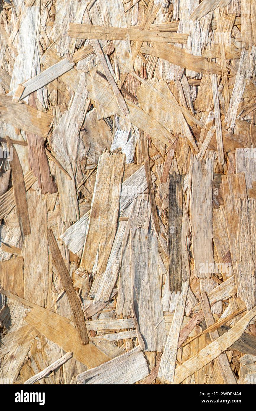 Plywood panel, OSB board texture. Simple pressed Oriented strand board ... Plywood panel, OSB board texture. Simple pressed Oriented strand board ...