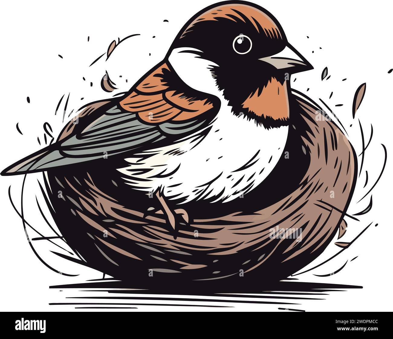 Sparrow sitting in the nest. Hand drawn vector illustration Stock ...