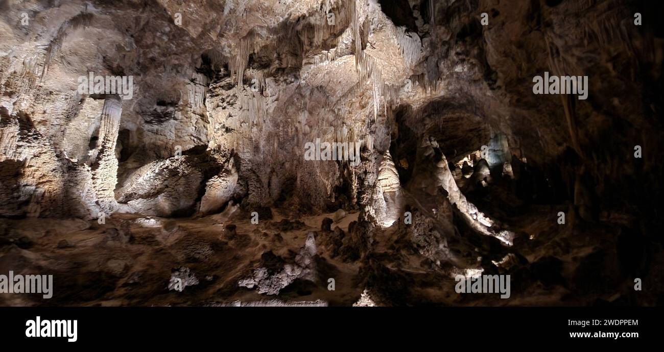 A scenic view of the cave at Carlsbad Caverns National Park in New ...