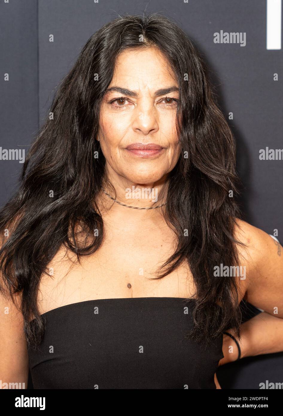 Sarita Choudhury attends Amazon Prime MGM Studios 'Expats' premiere at ...