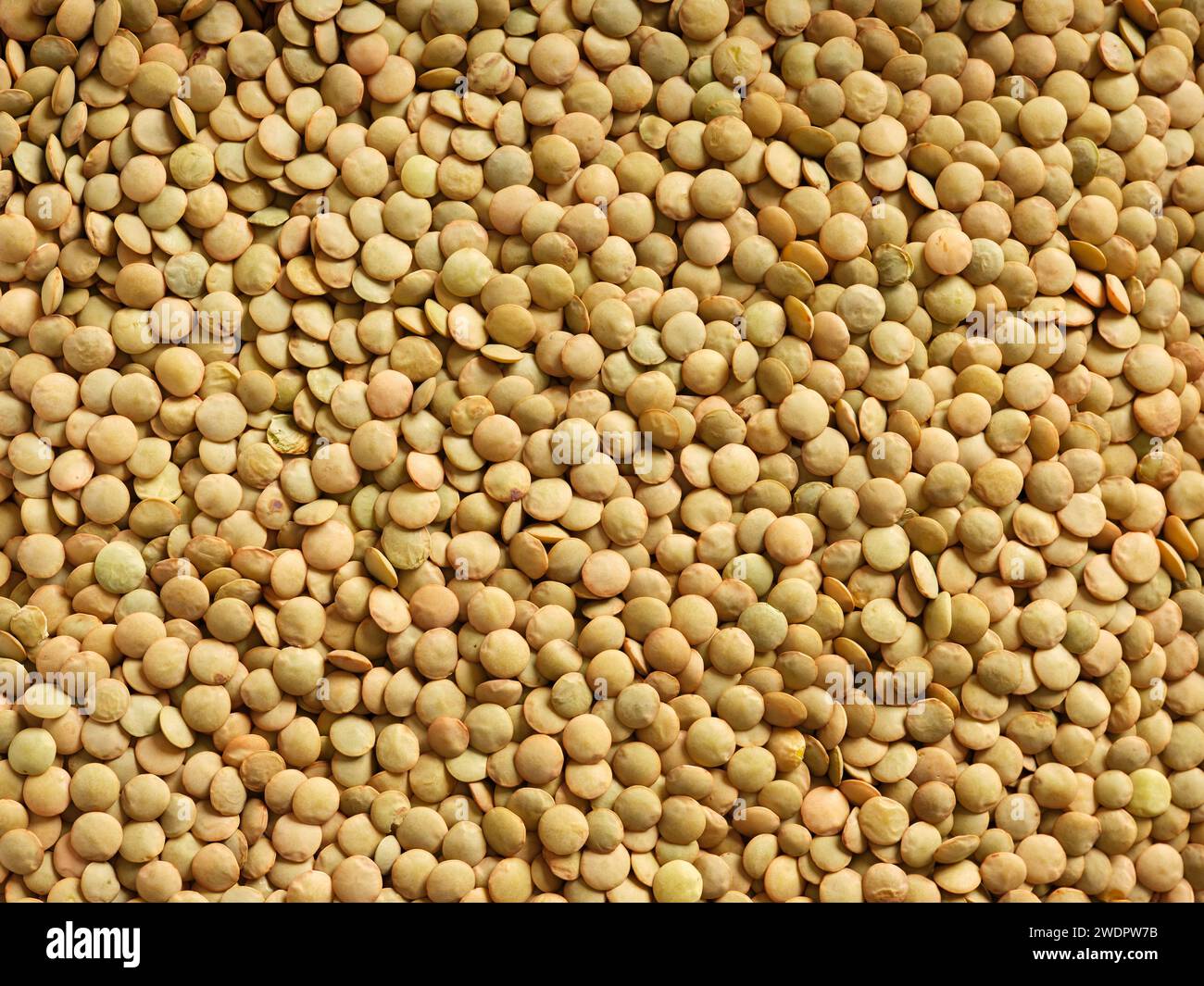 Lentil grains hi-res stock photography and images - Alamy