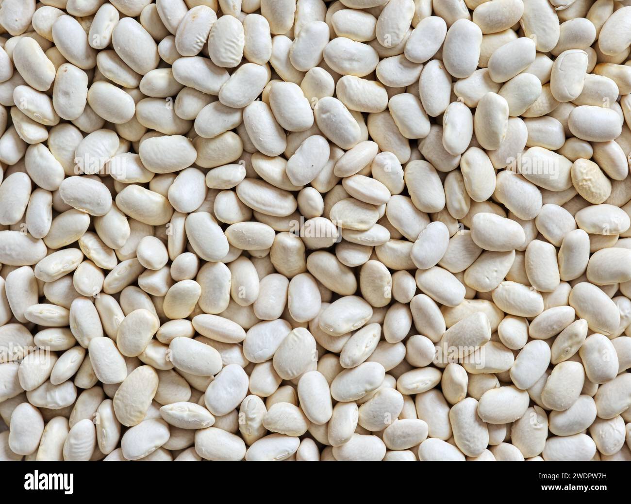 Heap of white haricot beans background Stock Photo - Alamy