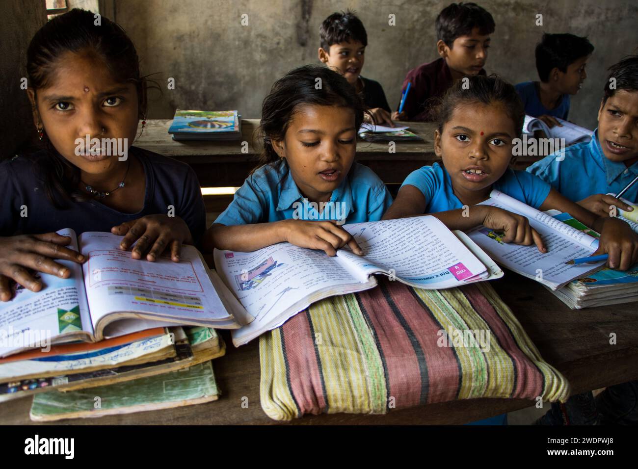 Mahottari hi-res stock photography and images - Alamy