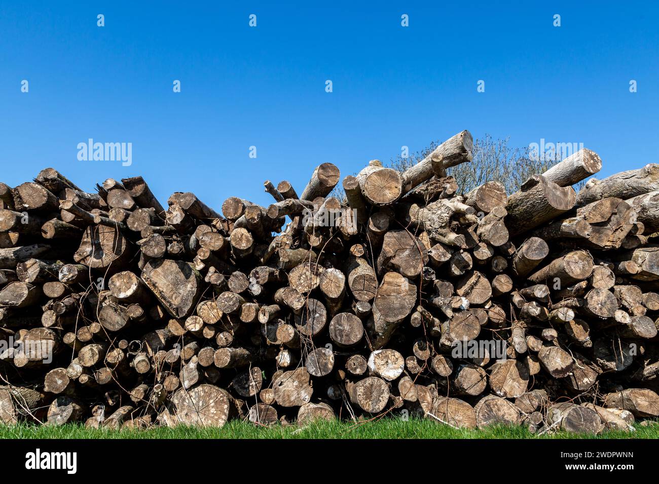 A log pile in the countryside, with a blue sky overhead Stock Photo - Alamy