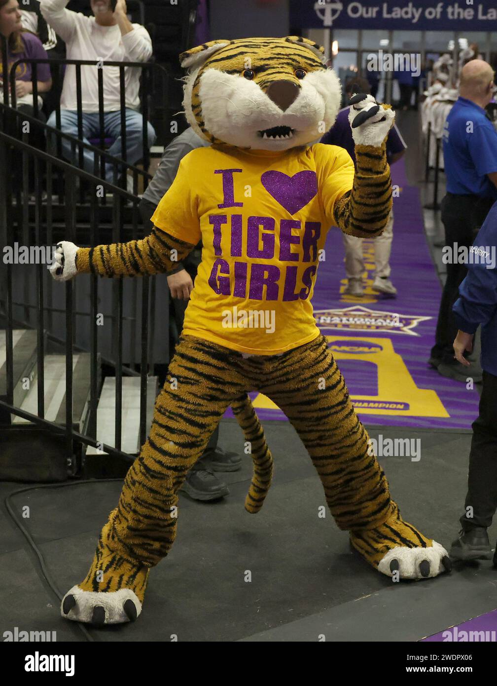 Baton Rouge, USA. 21st Jan, 2024. LSU Lady Tigers mascot Mike the Tiger ...