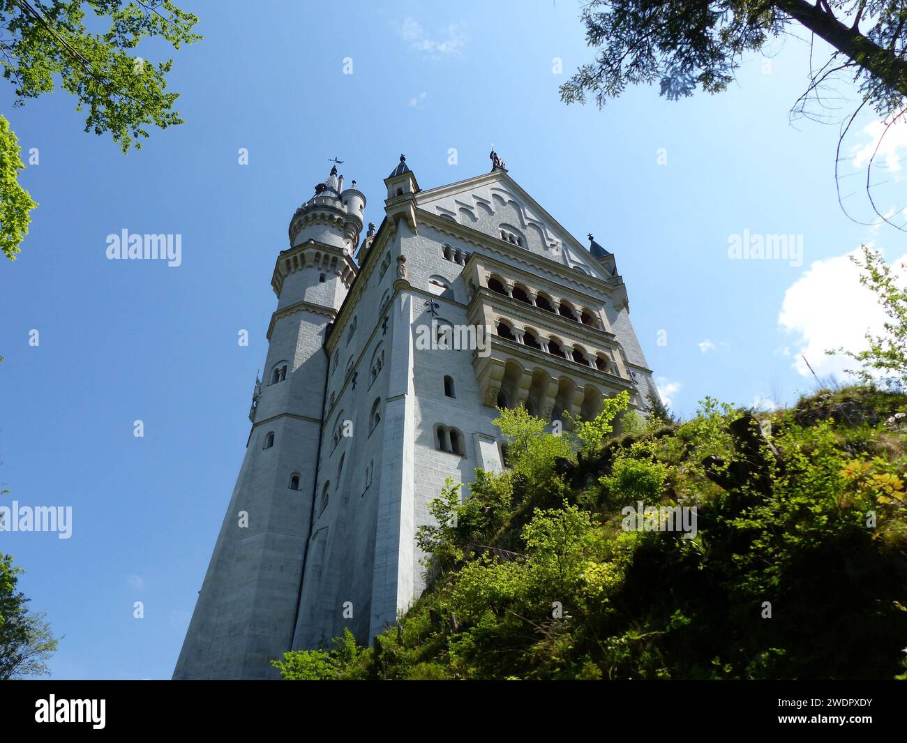 The Neuschwanstein Castle stands amidst a picturesque landscape of lush ...