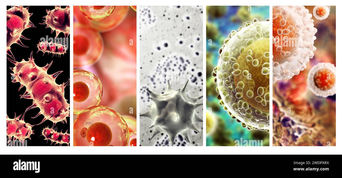 Collection of horizontal or vertical banners with pathogenic bacterias ...