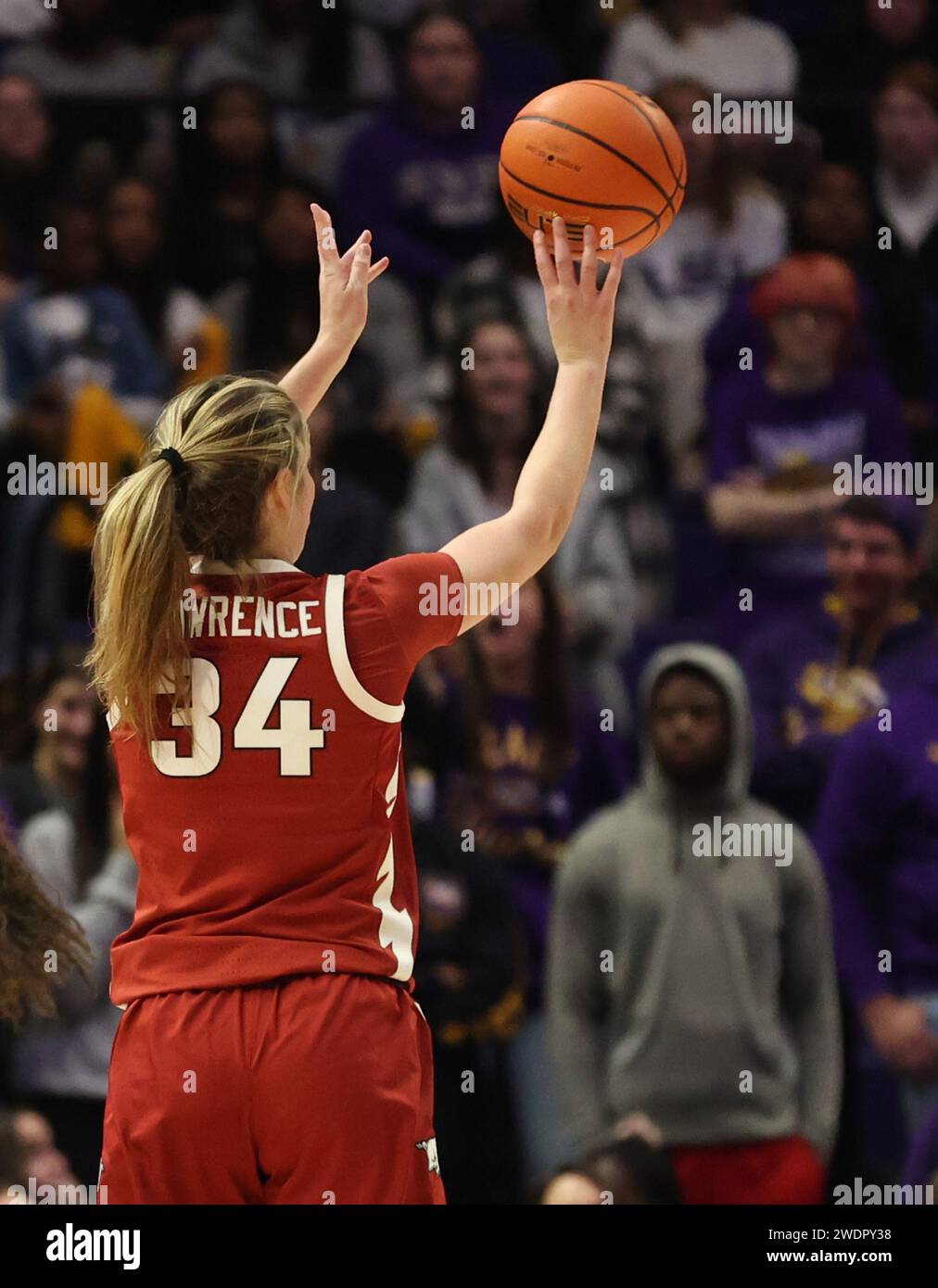 Arkansas razorbacks hi-res stock photography and images - Alamy