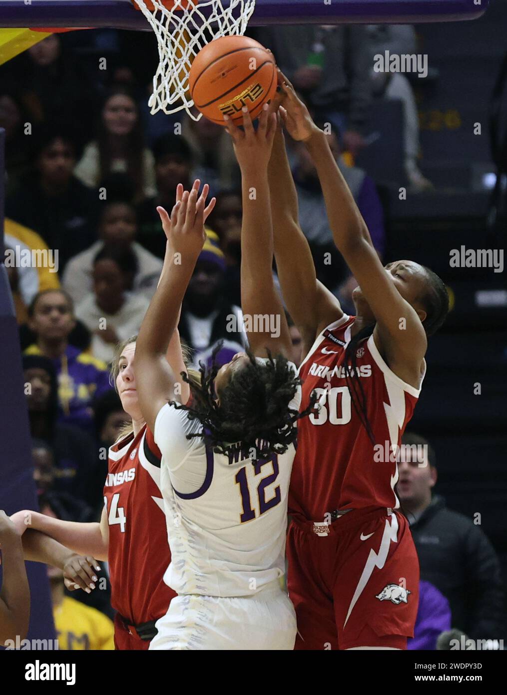Baton Rouge, USA. 21st Jan, 2024. Arkansas Razorbacks forward Maryam ...