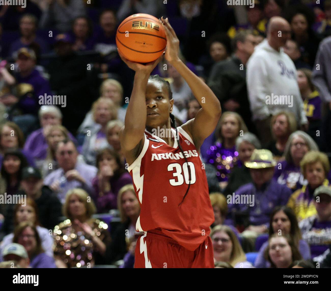 Razorbacks hi-res stock photography and images - Alamy