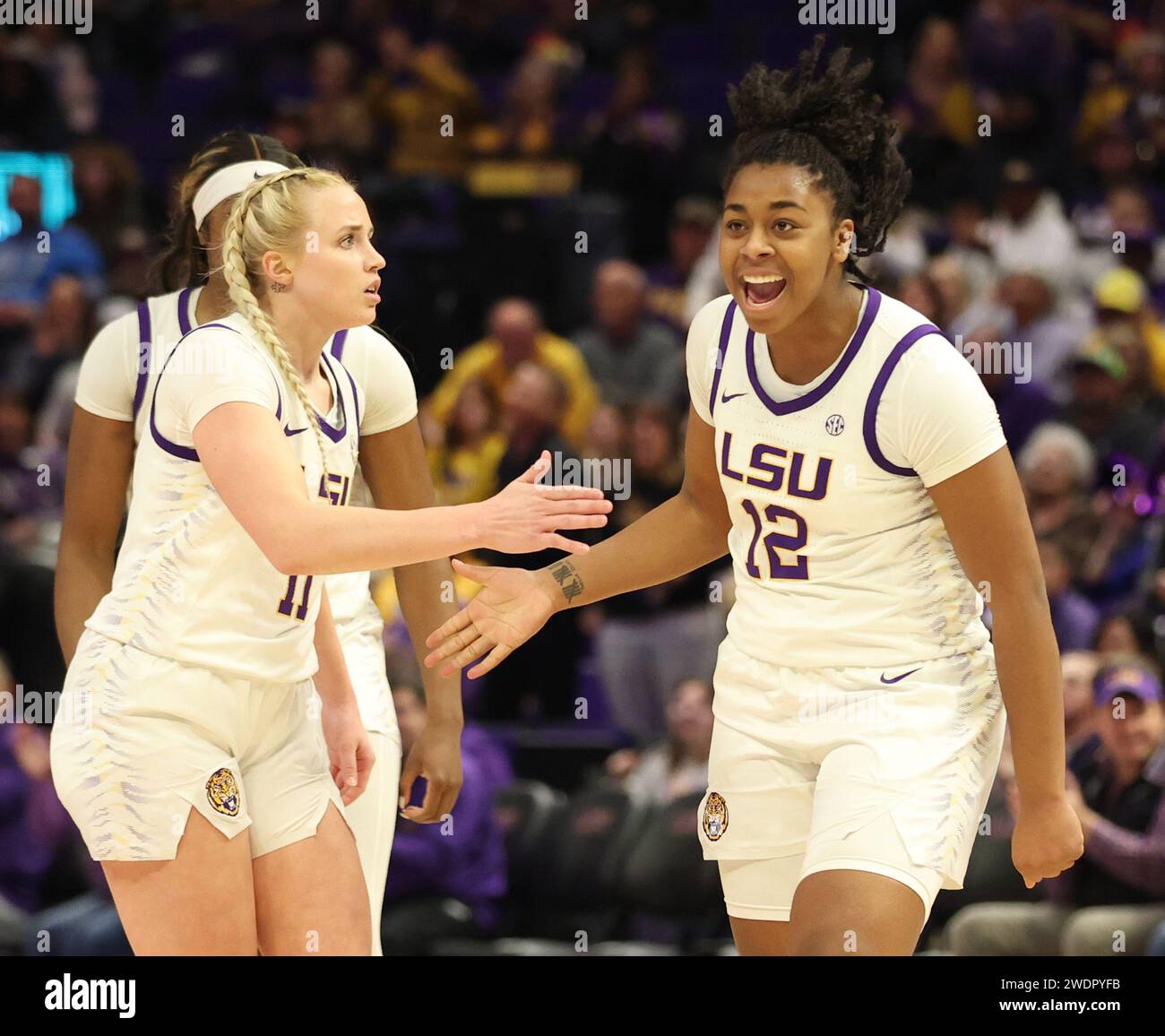 Baton Rouge, USA. 21st Jan, 2024. LSU Lady Tigers guards Hailey Van ...