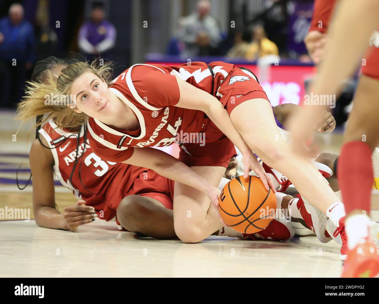 Arkansas razorbacks hi-res stock photography and images - Alamy