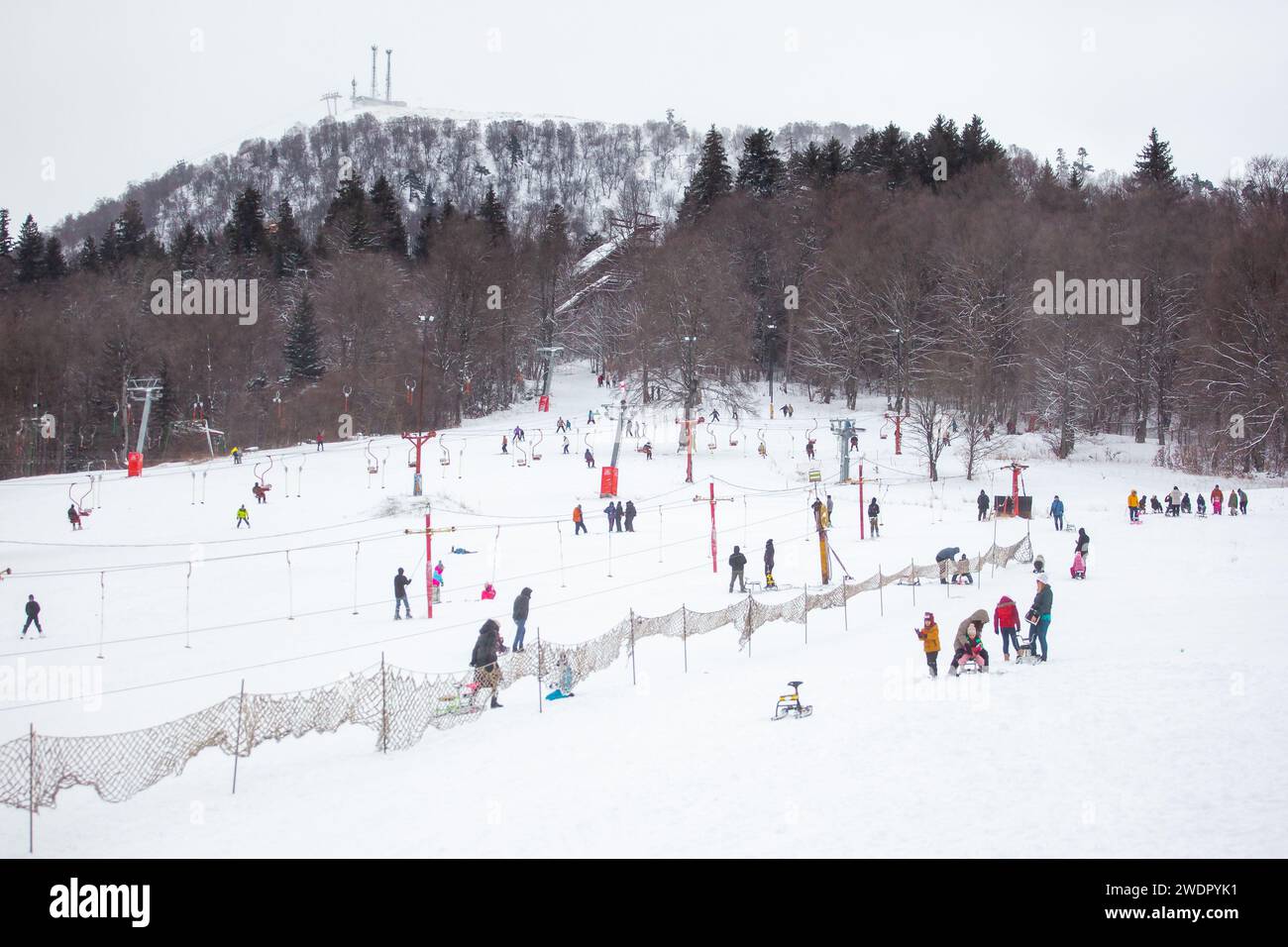 Bakuriani, Georgia - 24 December, 2023: Light skiing track in Bakuriani ...
