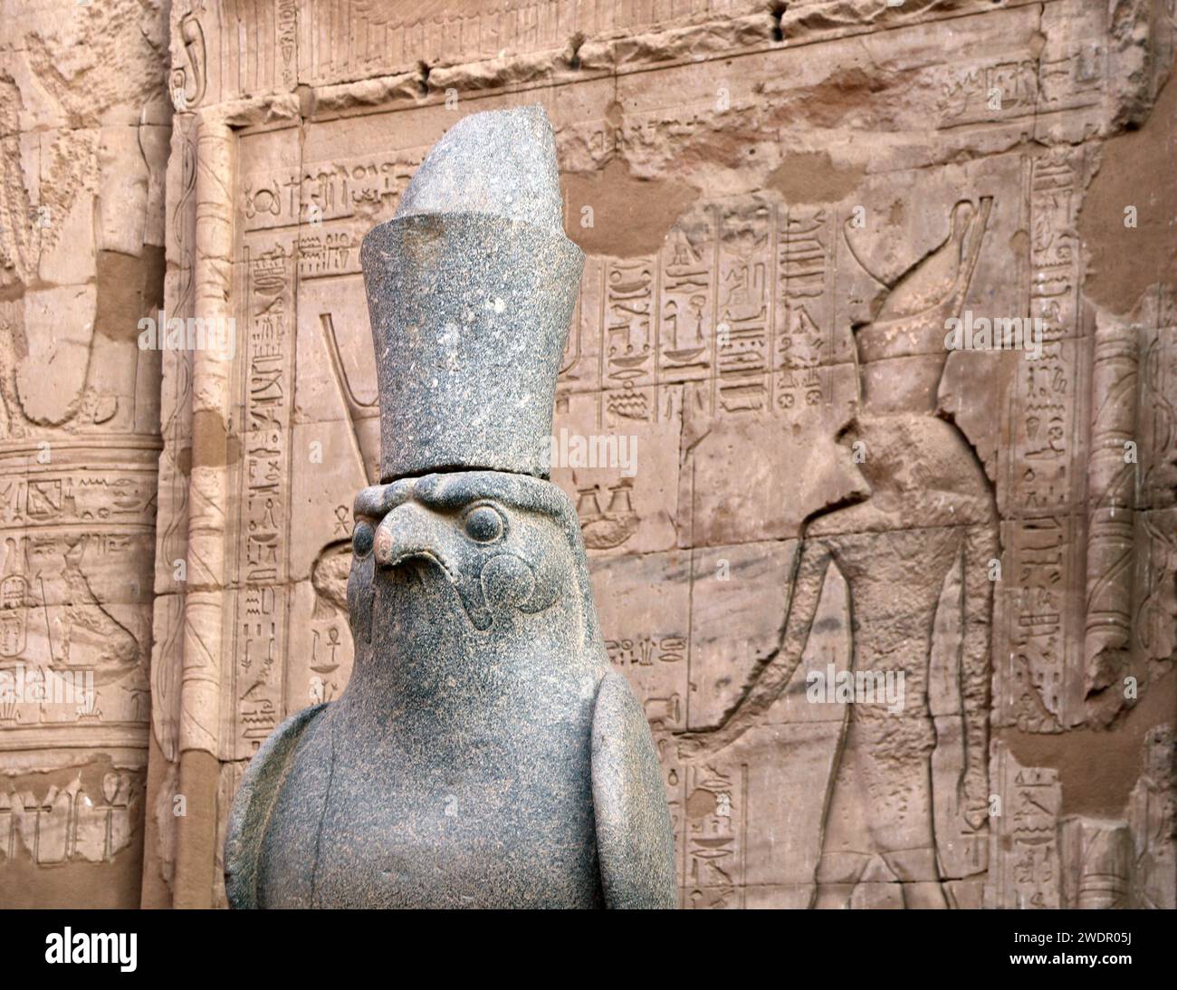 Granite statue of God Horus falcon at entrance Temple of Horus, Edfu ...