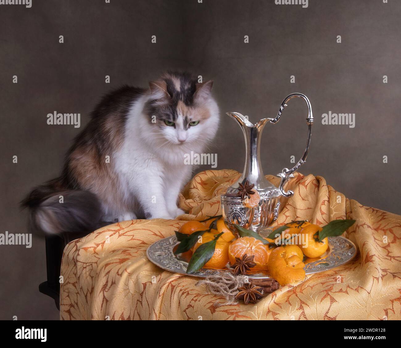 Still life with tangerines and curious cat Stock Photo - Alamy
