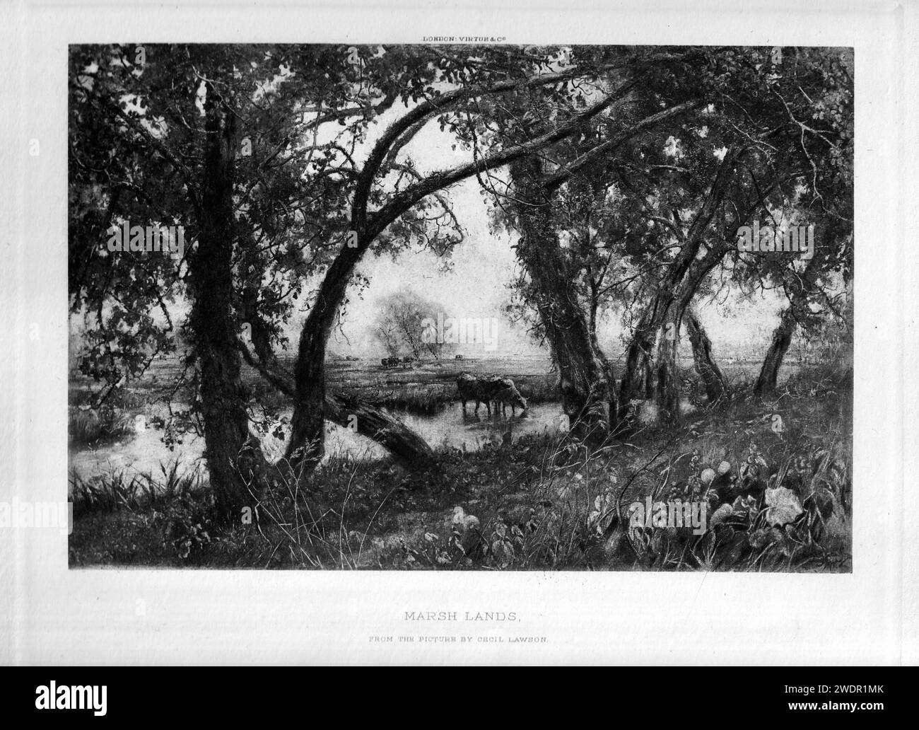 Cecil lawson Black and White Stock Photos & Images - Alamy