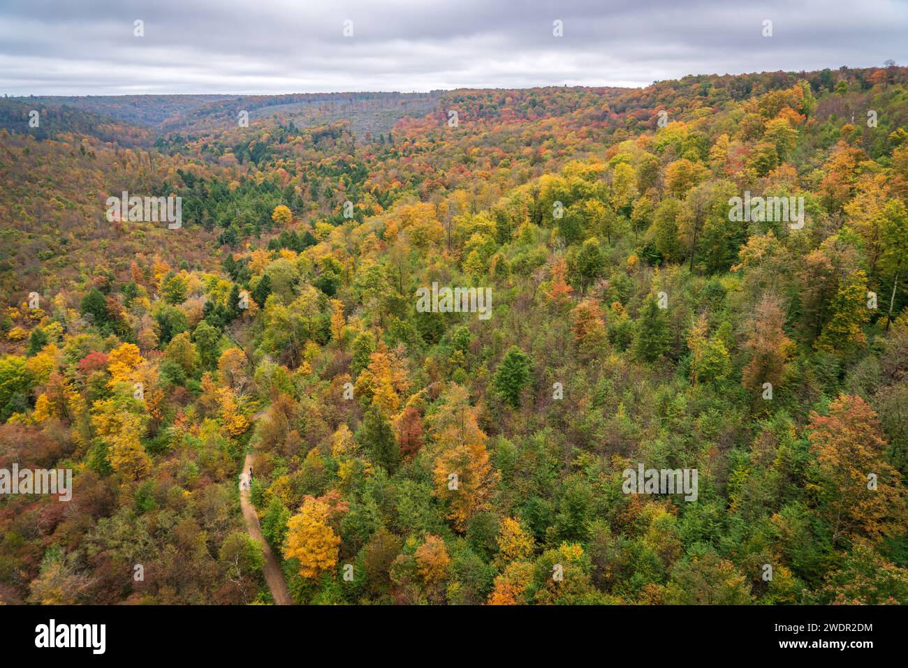 The Kinzua Bridge State Park in Pennsylvania Stock Photo - Alamy