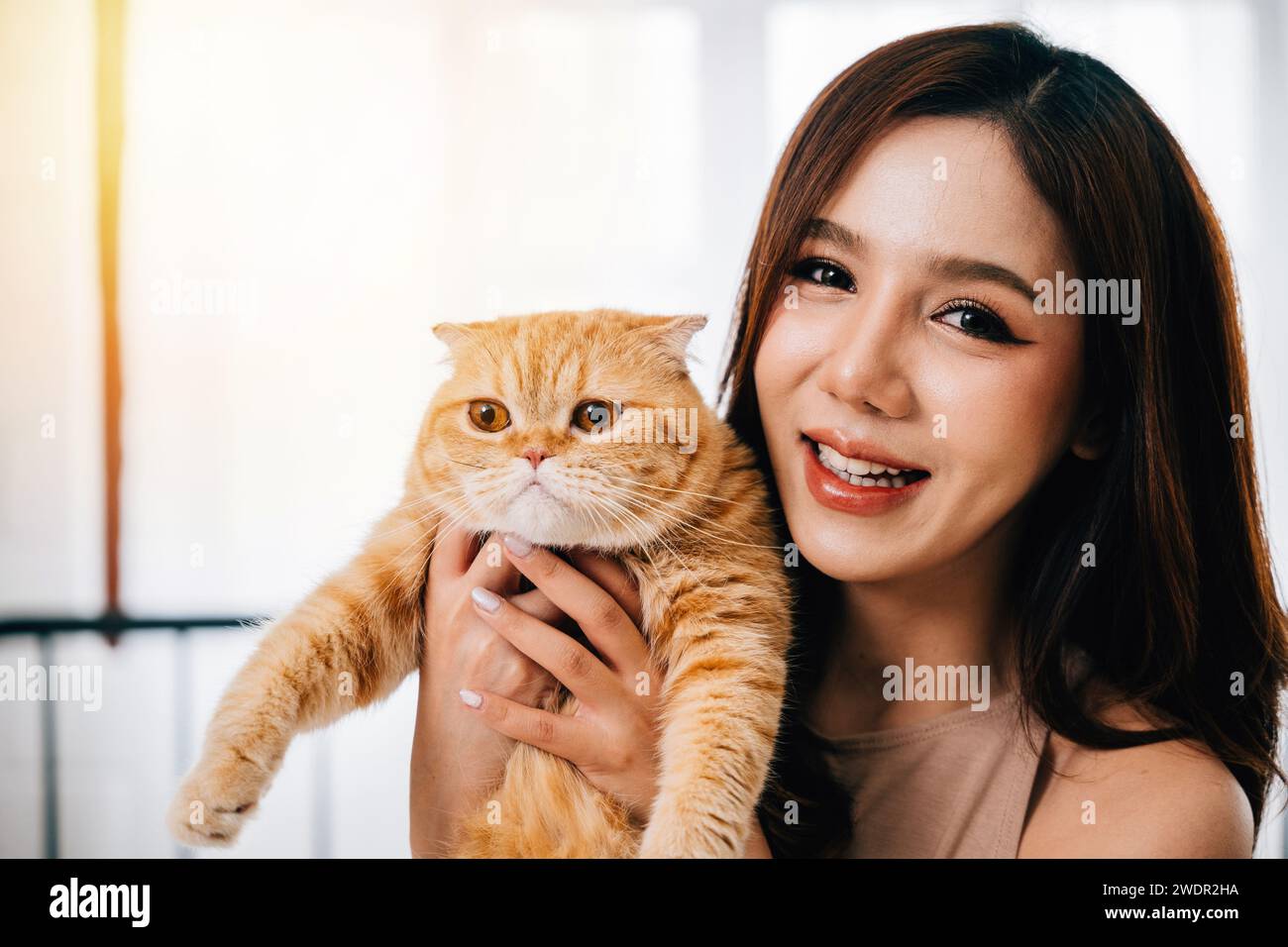 This close-up shot portrays a woman and her charming orange Scottish ...