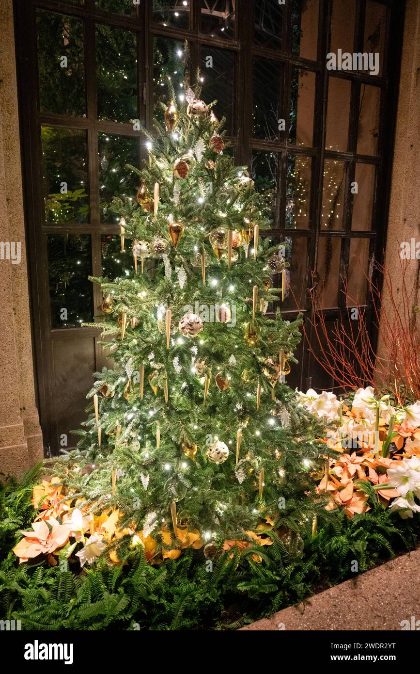 Christmas Lights and Festive Displays at Longwood Gardens, Botanical ...