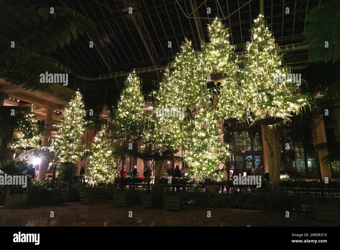Christmas Lights and Festive Displays at Longwood Gardens, Botanical ...
