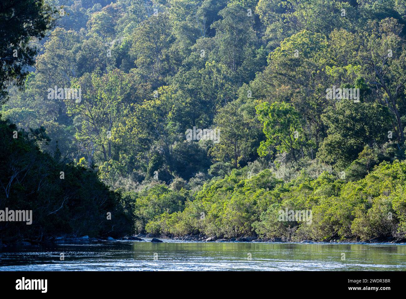 Mitchell River in Mitchell River National Park, Near Den of Nargun ...