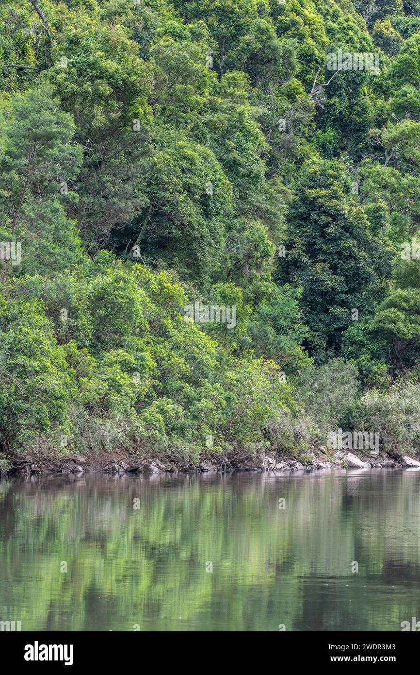 Mitchell River in Mitchell River National Park, Near Den of Nargun ...