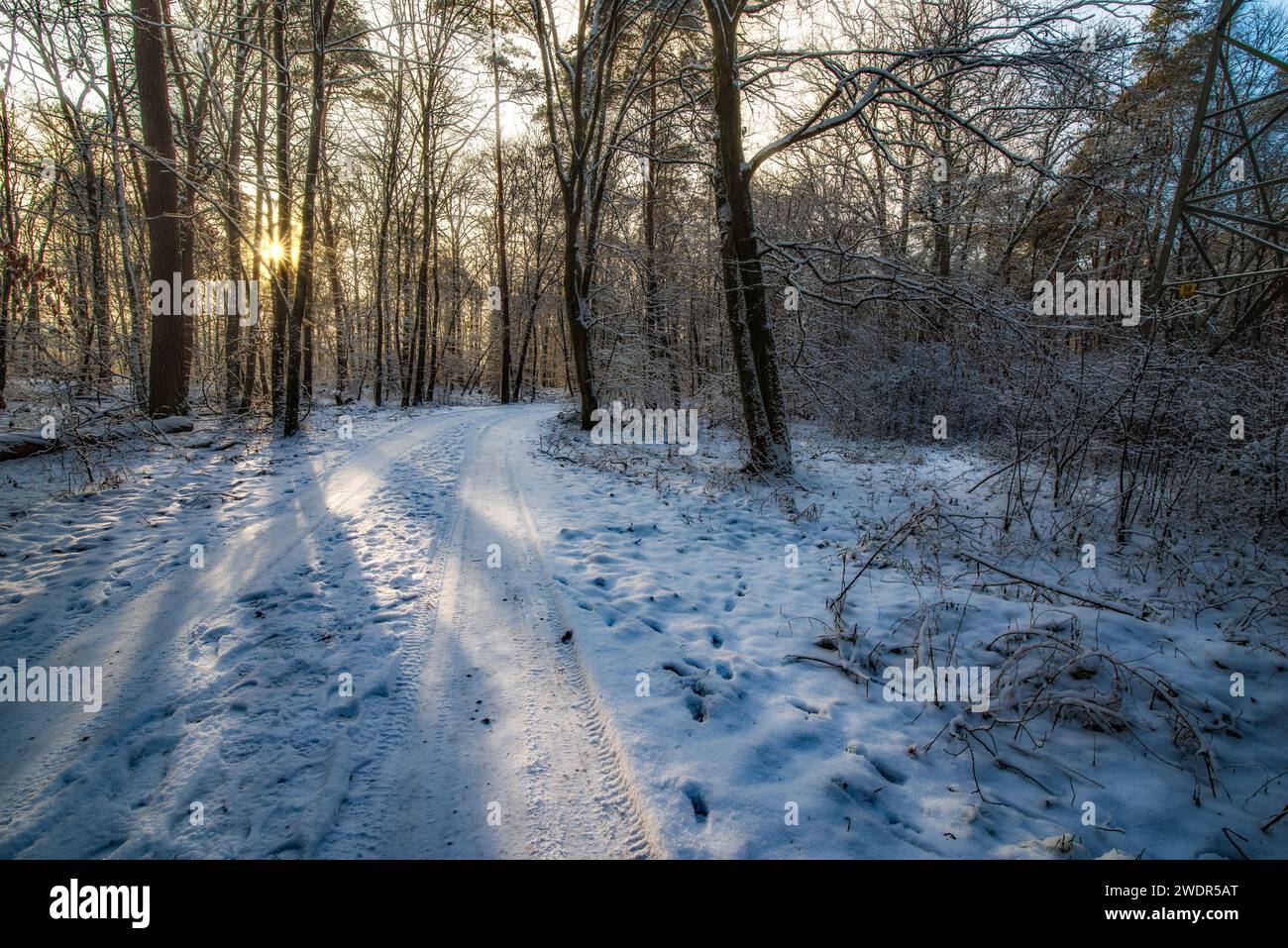 Wintersonne im Januar Stock Photo - Alamy