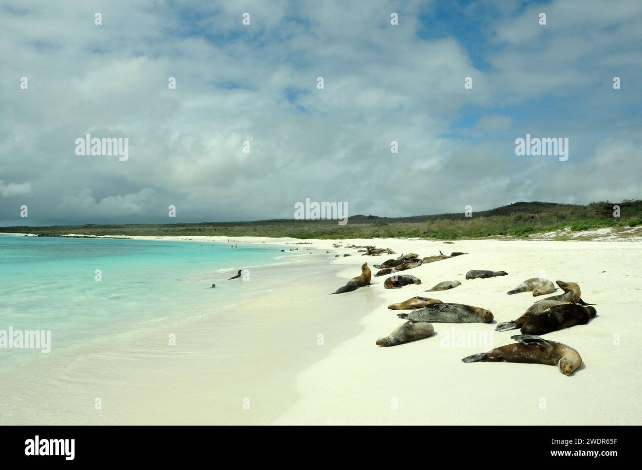 South America, Ecuador, Pacific, Galapagos Islands, UNESCO World ...