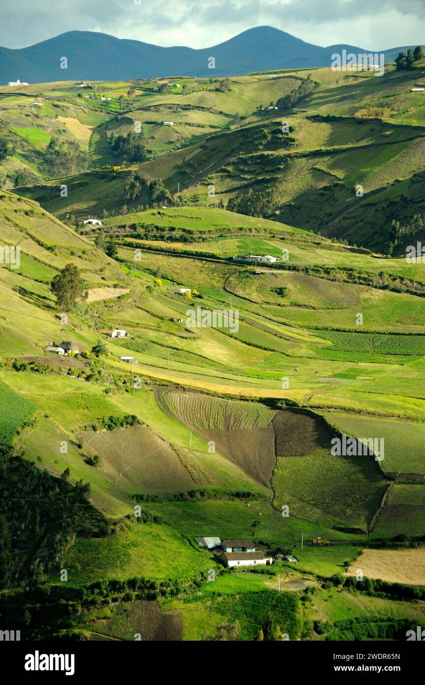 Hills around Andes Mountains, Ecuador Stock Photo - Alamy