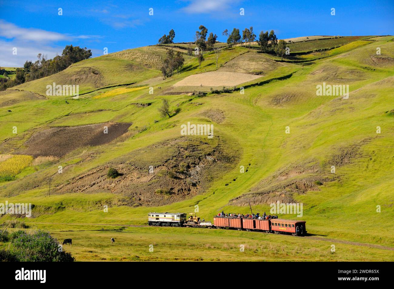 South America, Ecuador, Andes, Highland, Riobamba, Devil's Nose Train ...