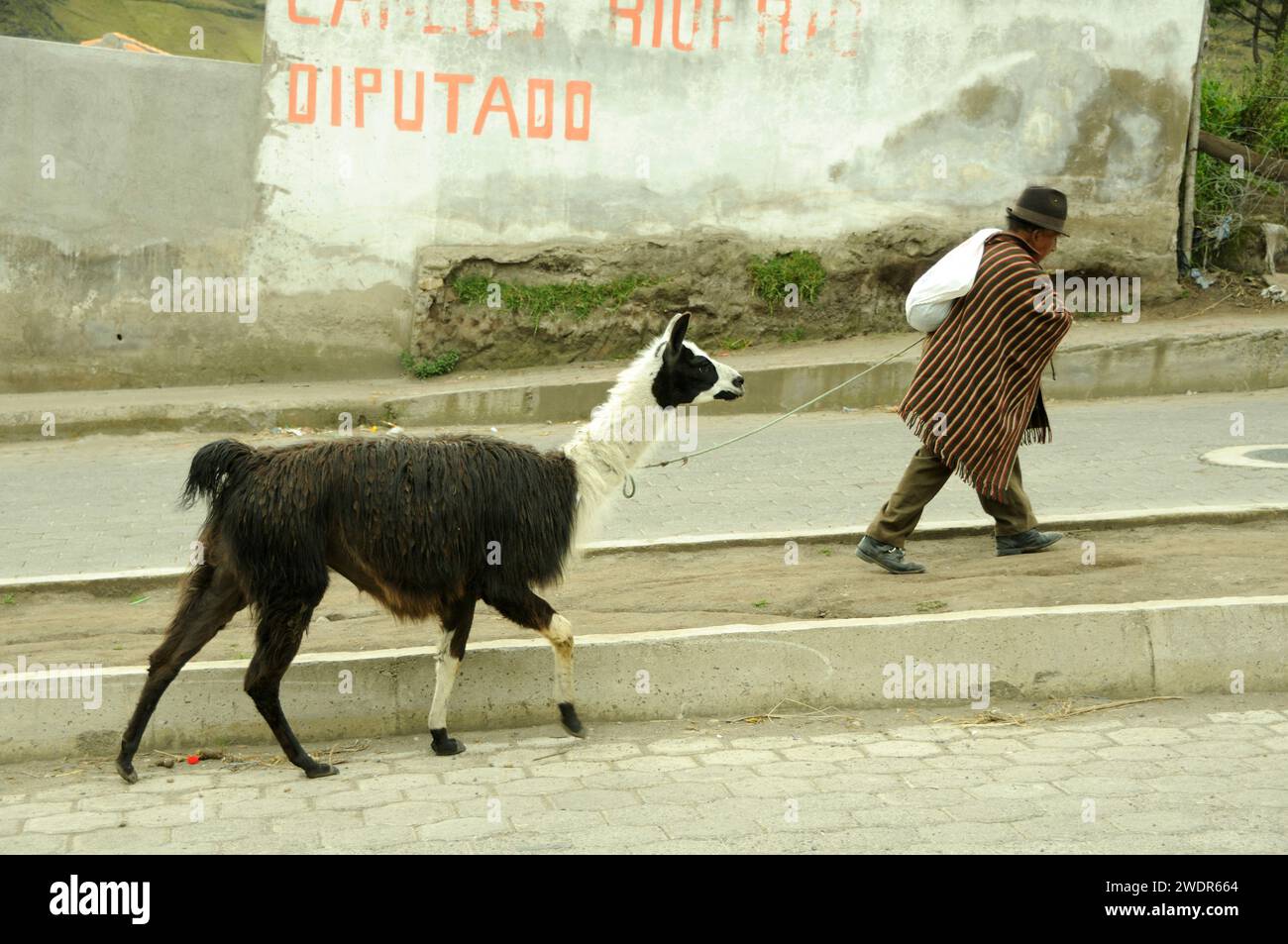 South America, Ecuador, Andes, Highland, Cotopaxi Province, Zumbahua ...