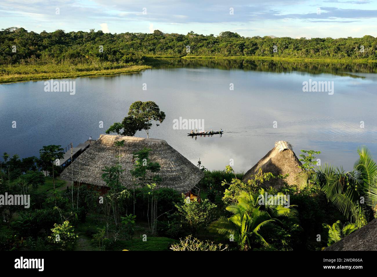 South America, Amazon, Ecuador, Yasuni National Park, Anangurocha Lake ...