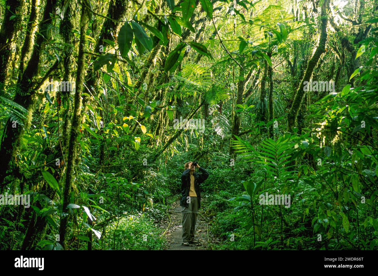 Central America, Costa Rica, Cordillera de Tilarán, Monte Verde, La ...