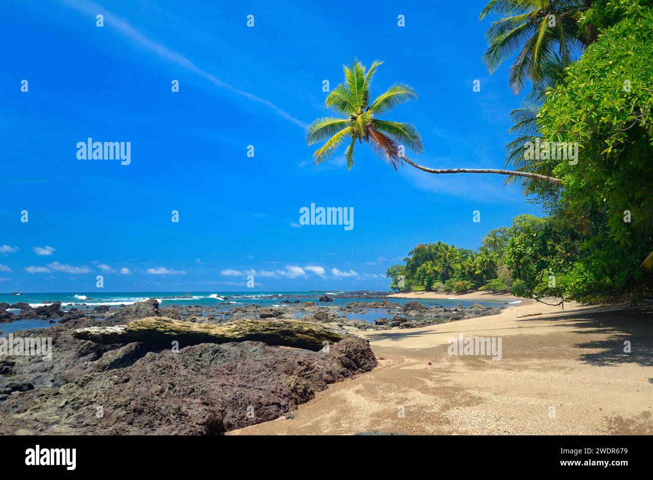 Central America, Costa Rica, Corcovado National Park, Osa Peninsula, Beach Stock Photo - Alamy