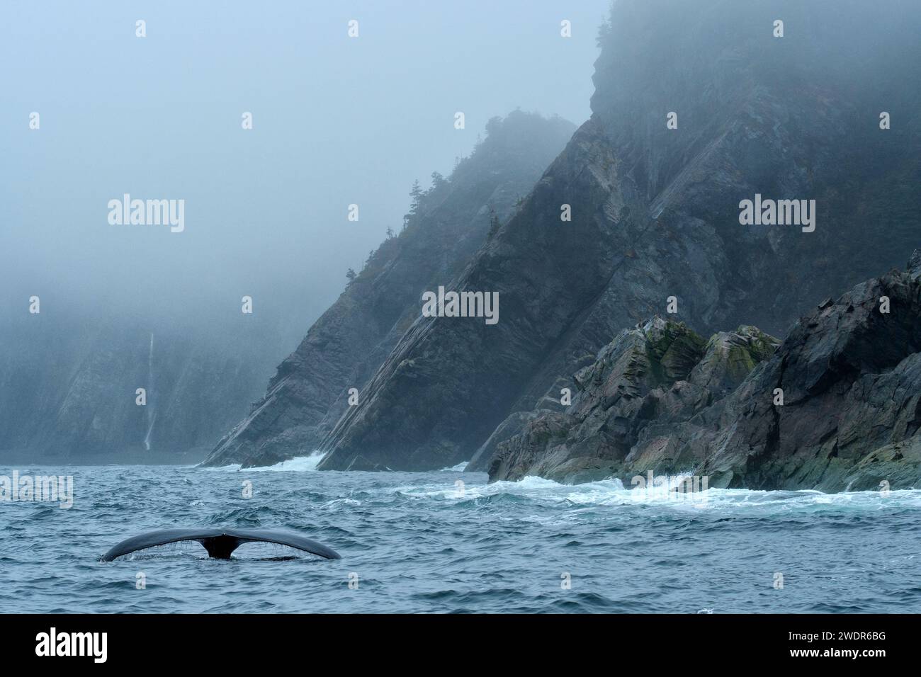 Newfoundland and labrador hi-res stock photography and images - Alamy