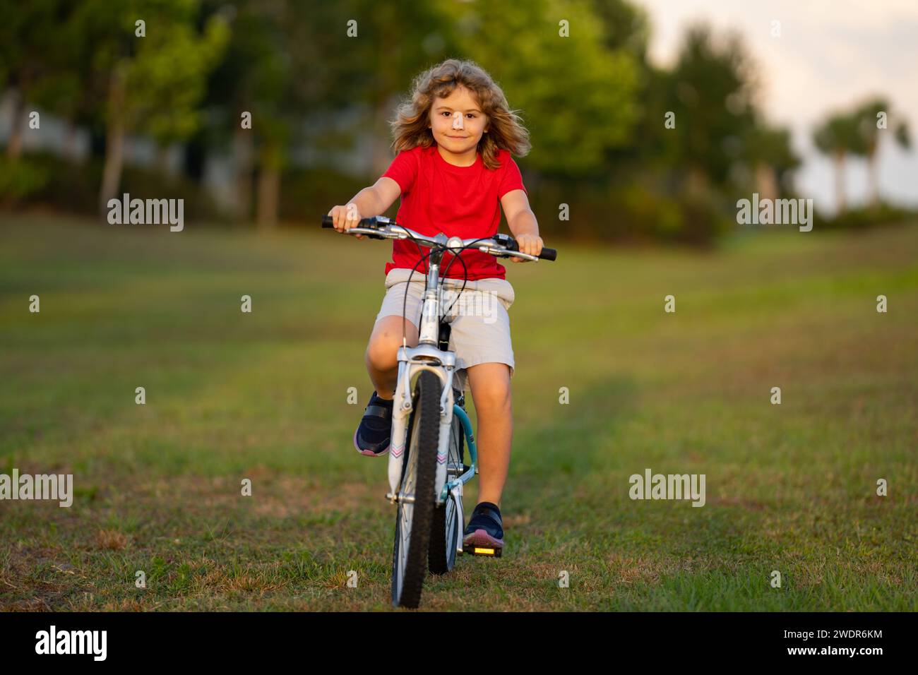 Little kid boy riding a bike in summer park. Child drive a bike on a ...
