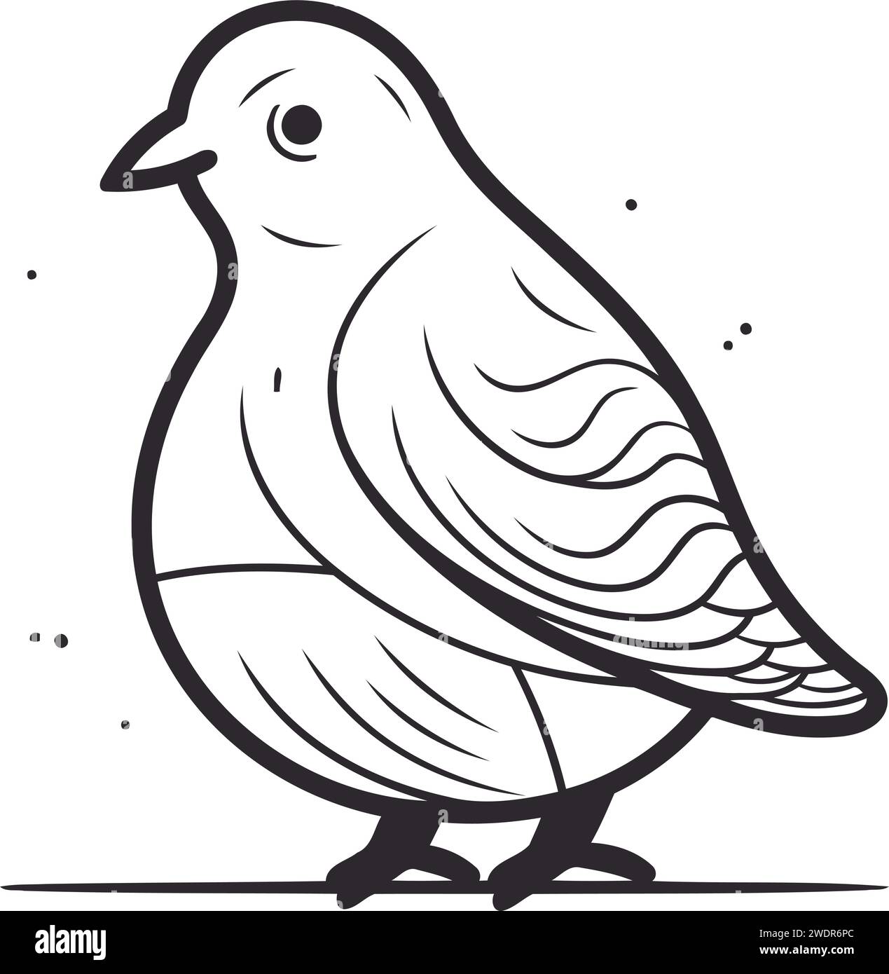 Pigeon isolated on a white background. Vector illustration in outline ...