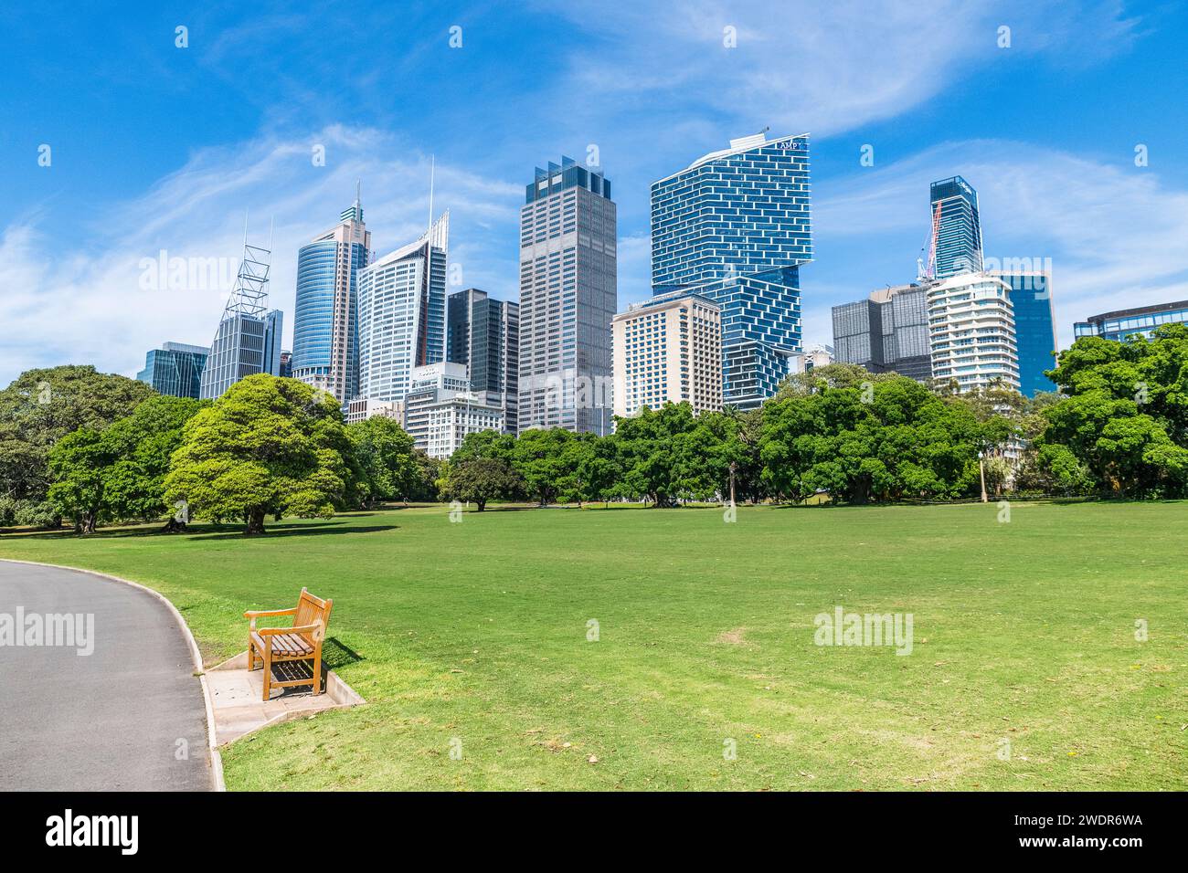 Sydney's Botanical Gardens and City Centre: A Blend of Nature and Urban ...