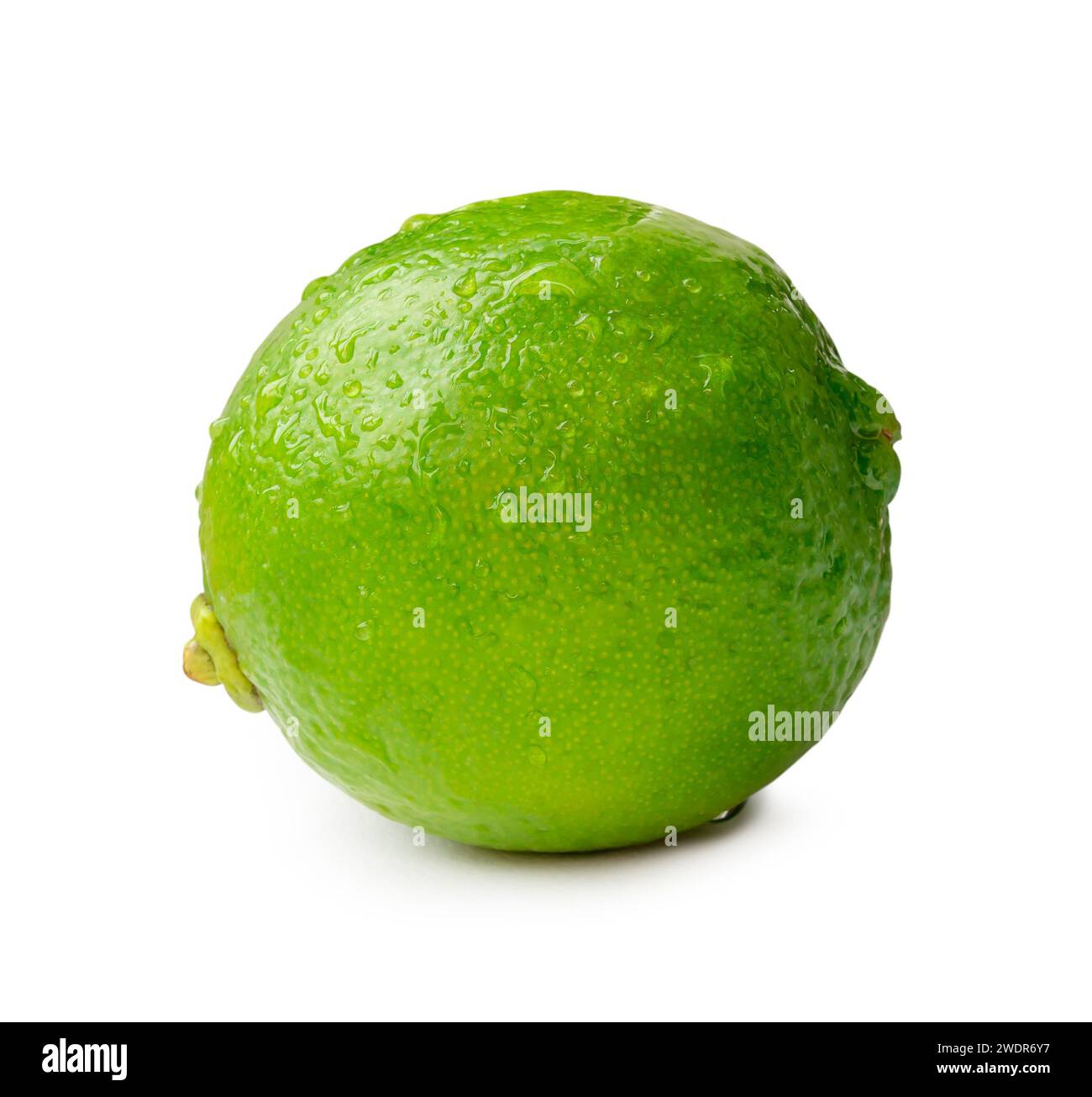 Front view of fresh green lemon fruit is isolated on white background ...