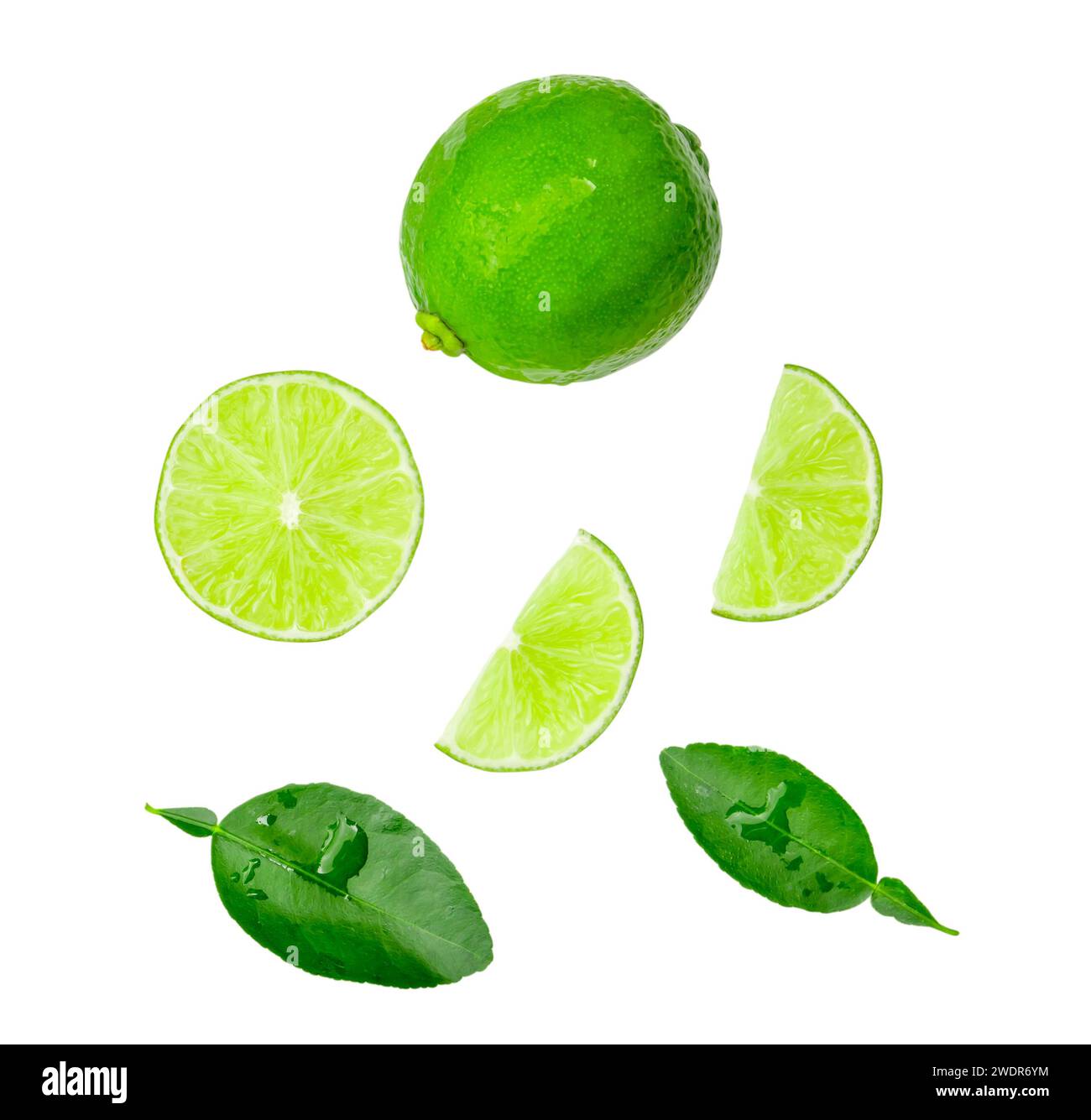 Top view set of green lemon fruit and half with slice or quarter and leaves is isolated on white ...